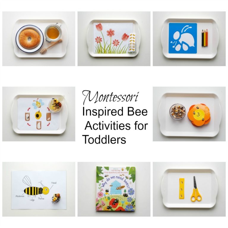 Montessori Inspired Bee Activities for Toddlers – My Little Keepers